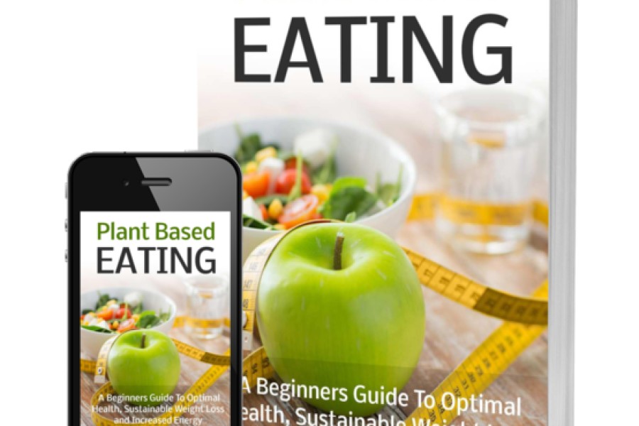 Plan Base Eating: A Simple Guide to Balanced Meals